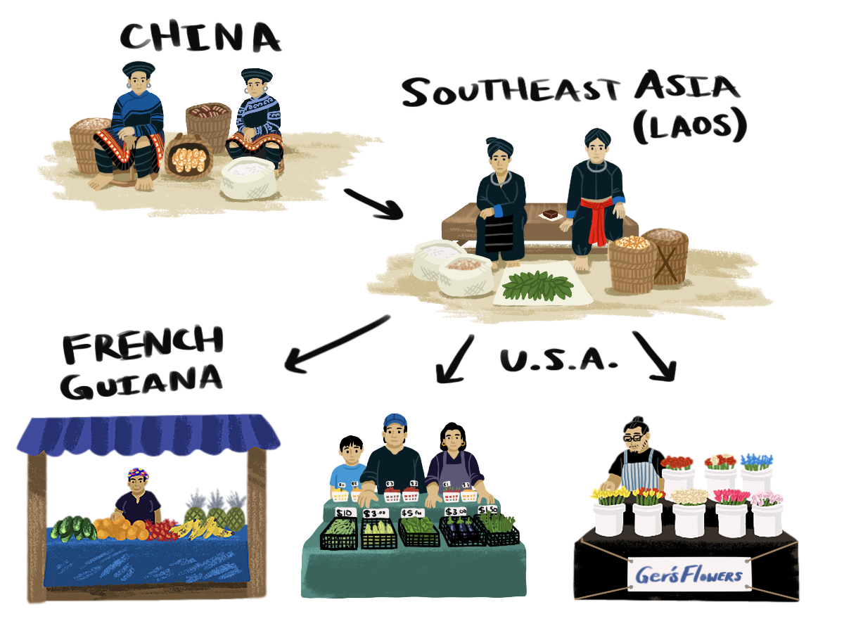 Learn Uake - Agriculture and Land Relations in Hmong Culture